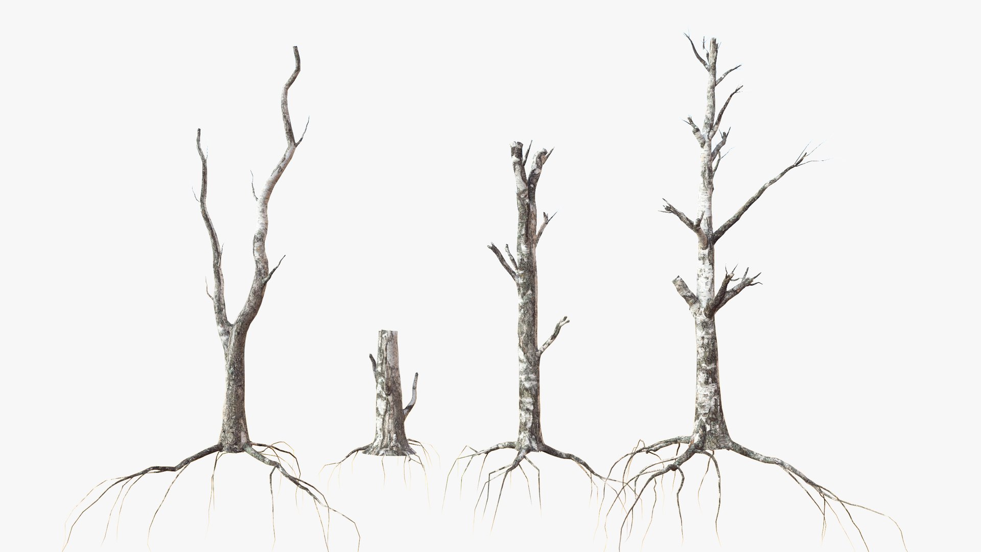 3D Dead Tree 4 - TurboSquid 1670219