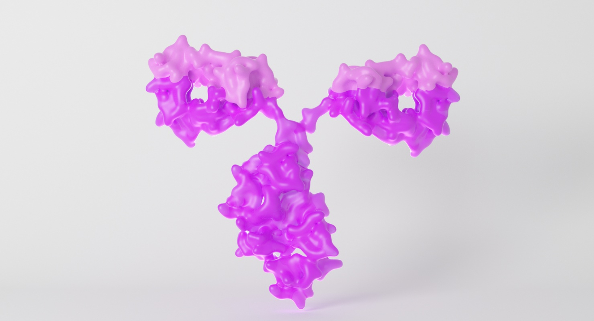 Antibody 3d