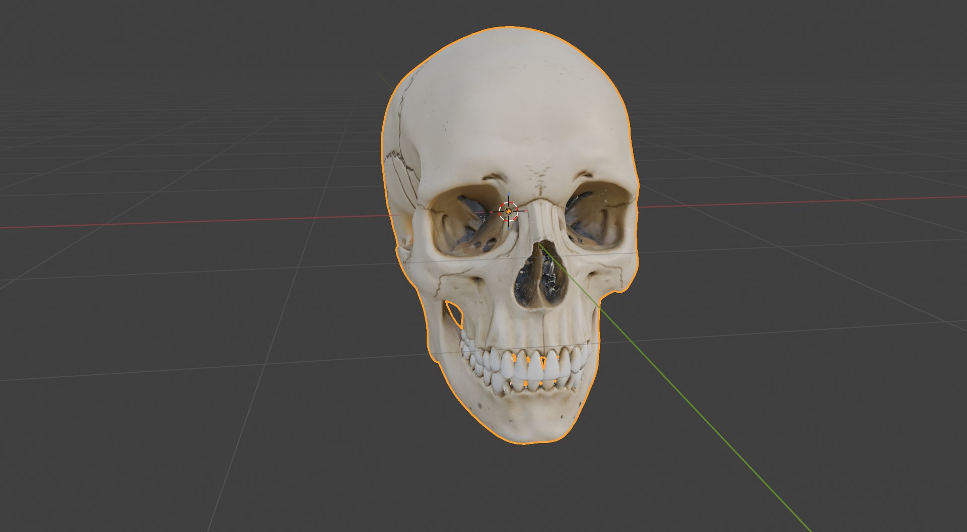 Human Skull 3D Model - TurboSquid 2494490