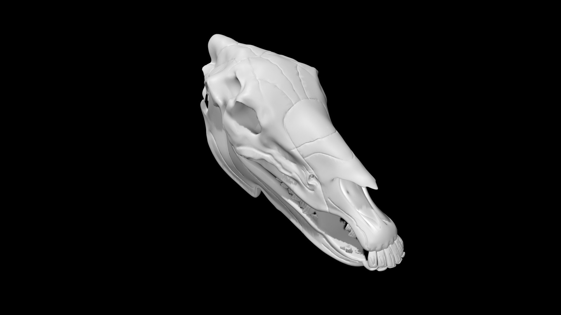 Donkey Skull 3D Model - TurboSquid 1887843