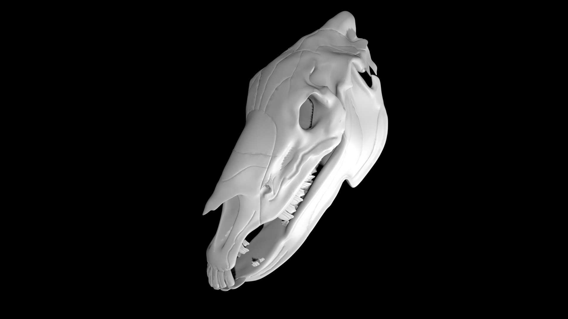 Donkey Skull 3D Model - TurboSquid 1887843
