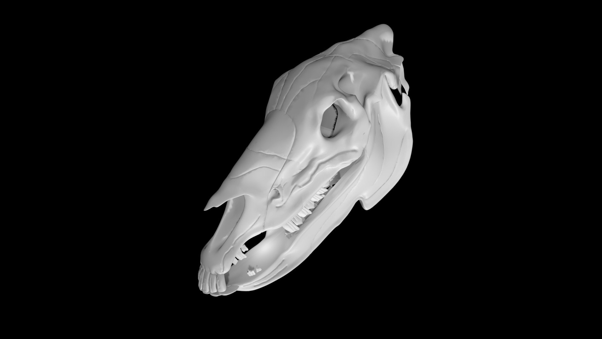 Donkey Skull 3D Model - TurboSquid 1887843