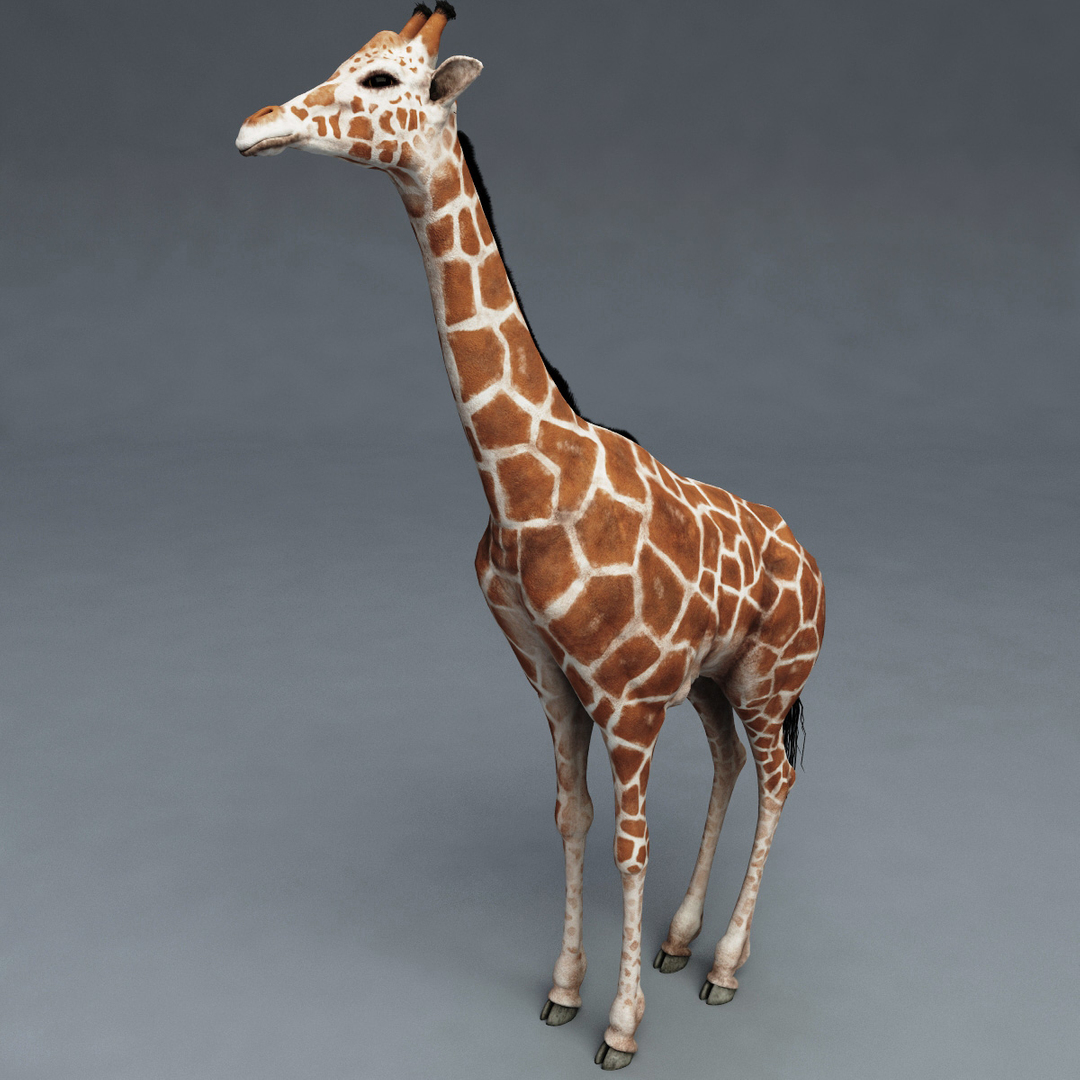 giraffe modelled 3d 3ds