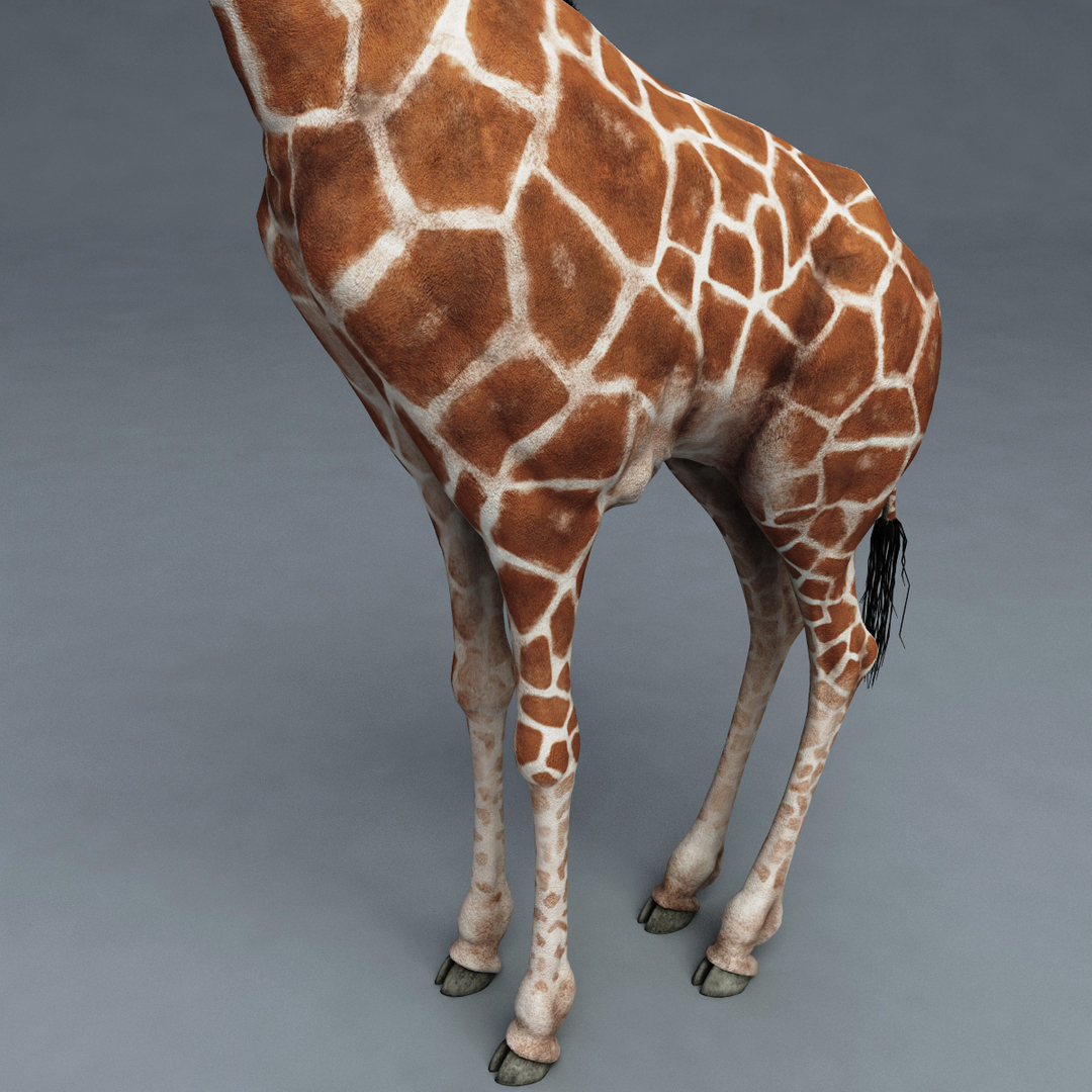 giraffe modelled 3d 3ds