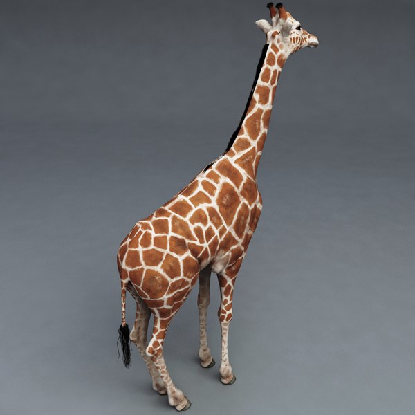 giraffe modelled 3d 3ds