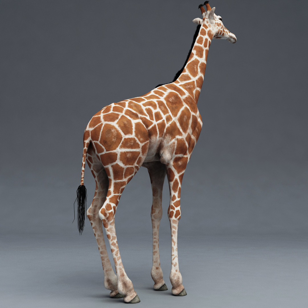 giraffe modelled 3d 3ds
