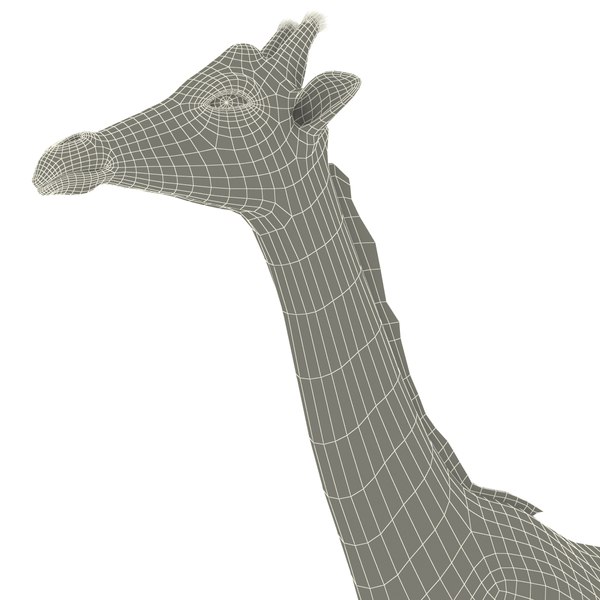 giraffe modelled 3d 3ds