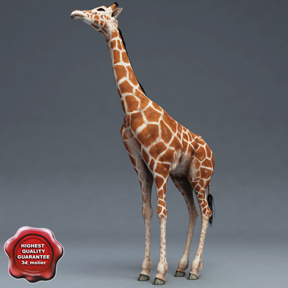 giraffe modelled 3d 3ds