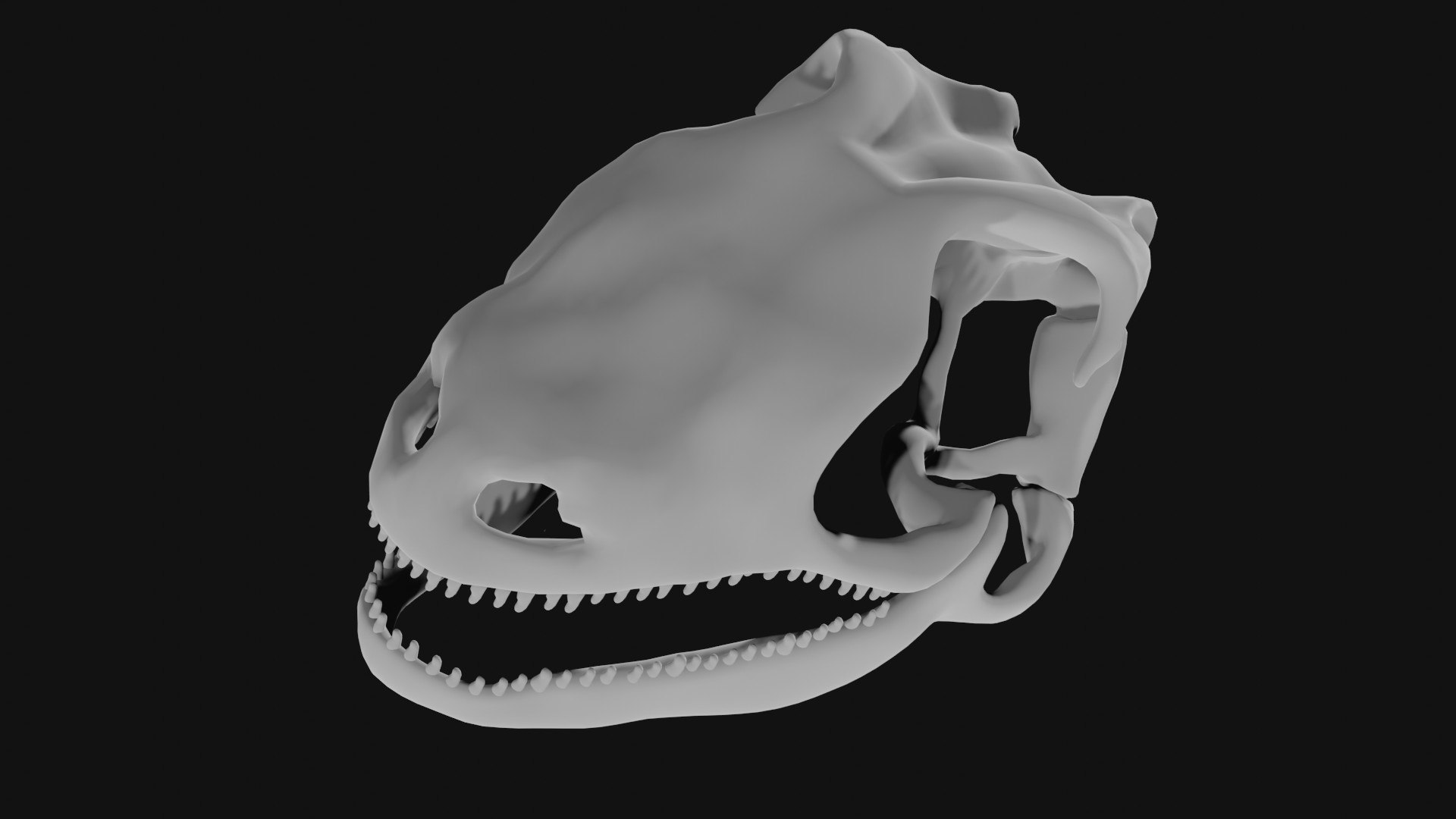 Lizard Skull 3D - TurboSquid 1983377