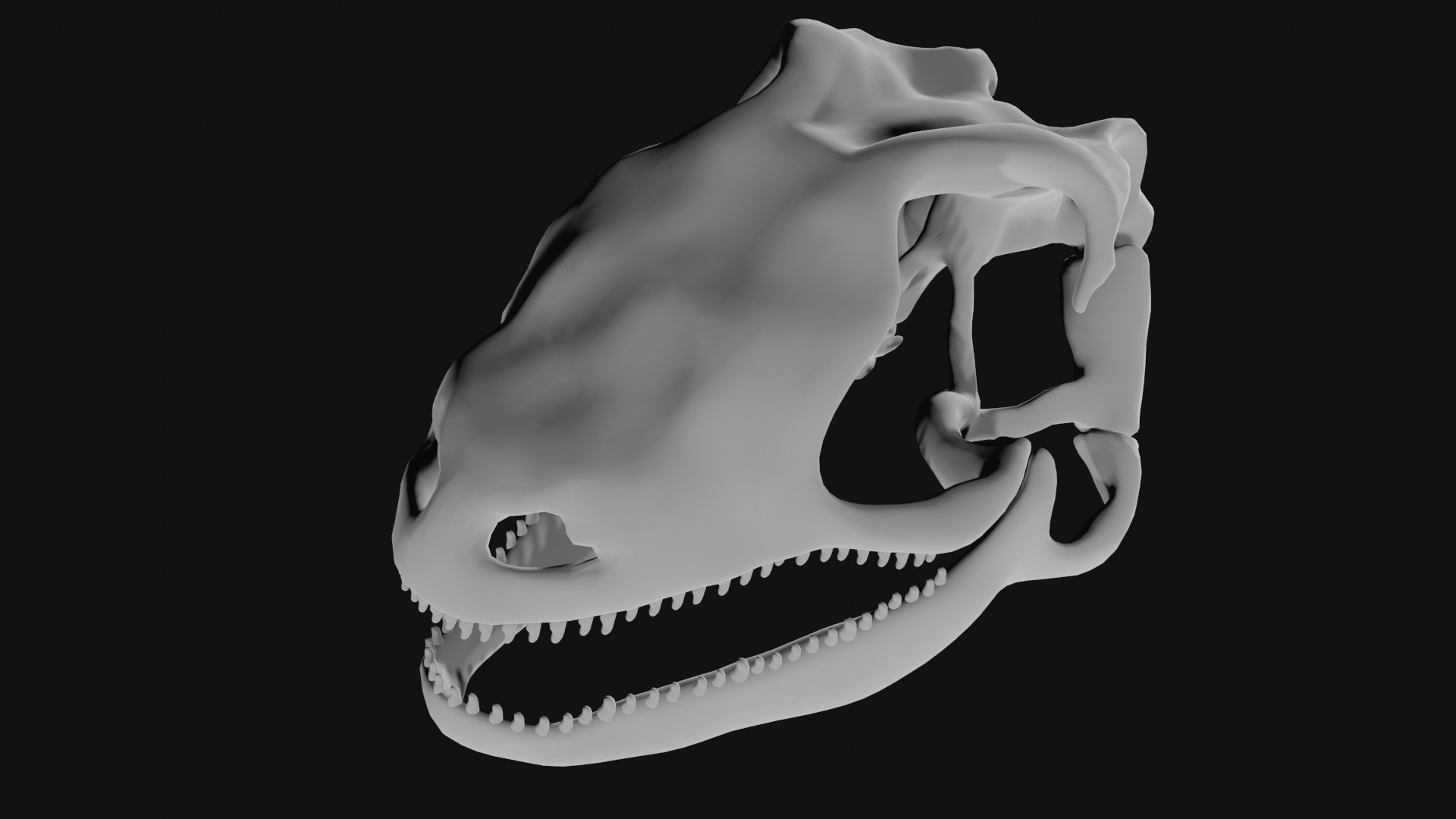 Lizard Skull 3D - TurboSquid 1983377