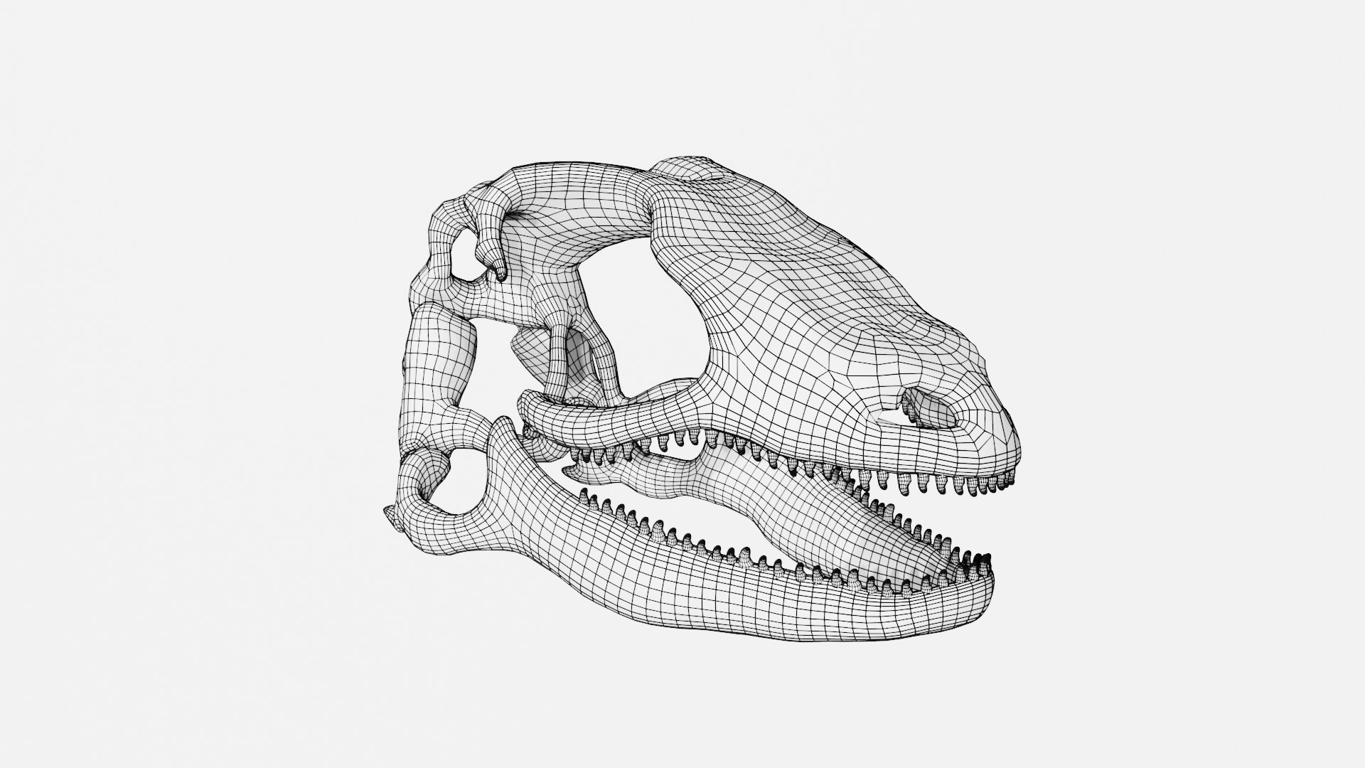 Lizard Skull 3D - TurboSquid 1983377