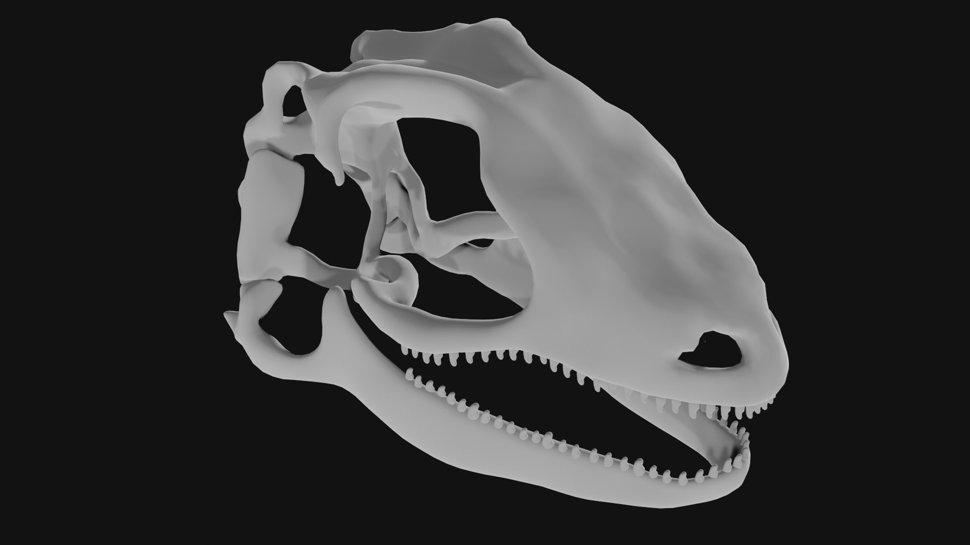 Lizard Skull 3D - TurboSquid 1983377