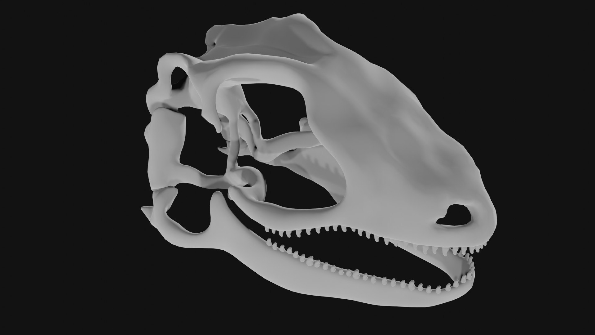 Lizard Skull 3D - TurboSquid 1983377