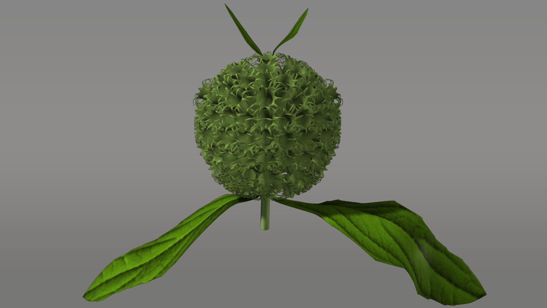 3d Model Leucas
