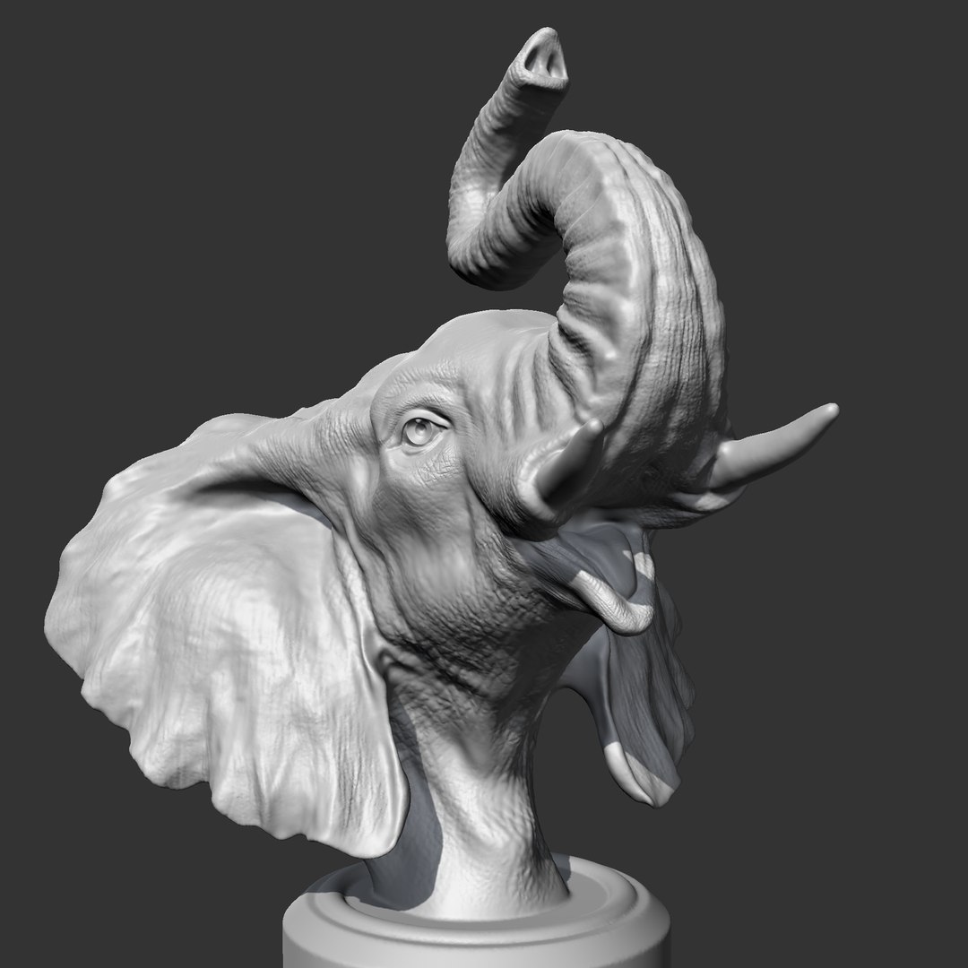 Elephant Head AM05 3D Print Model 3D Model - TurboSquid 2065452