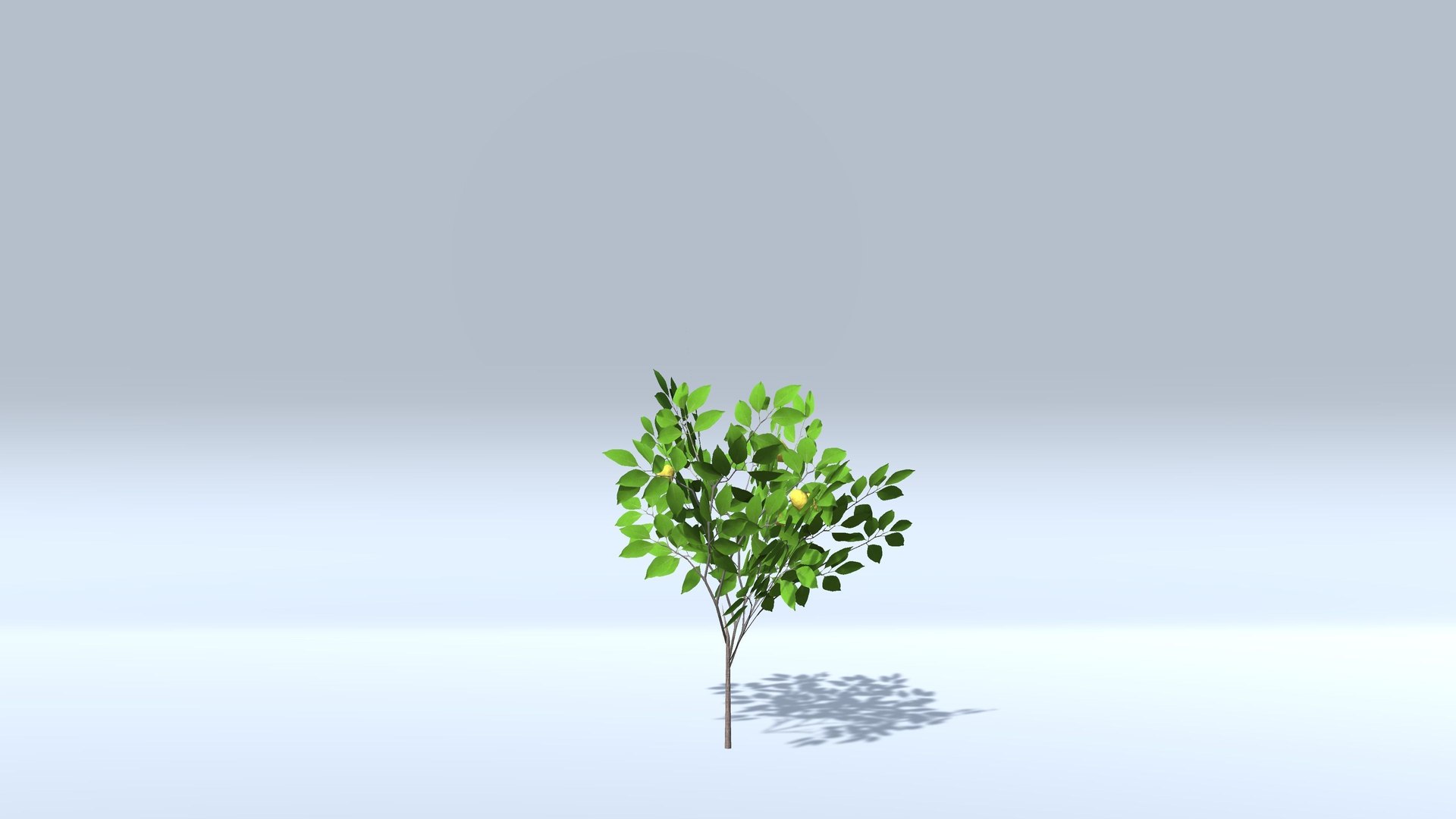 3D Lemon Trees Low-poly 3D Model - TurboSquid 2324750