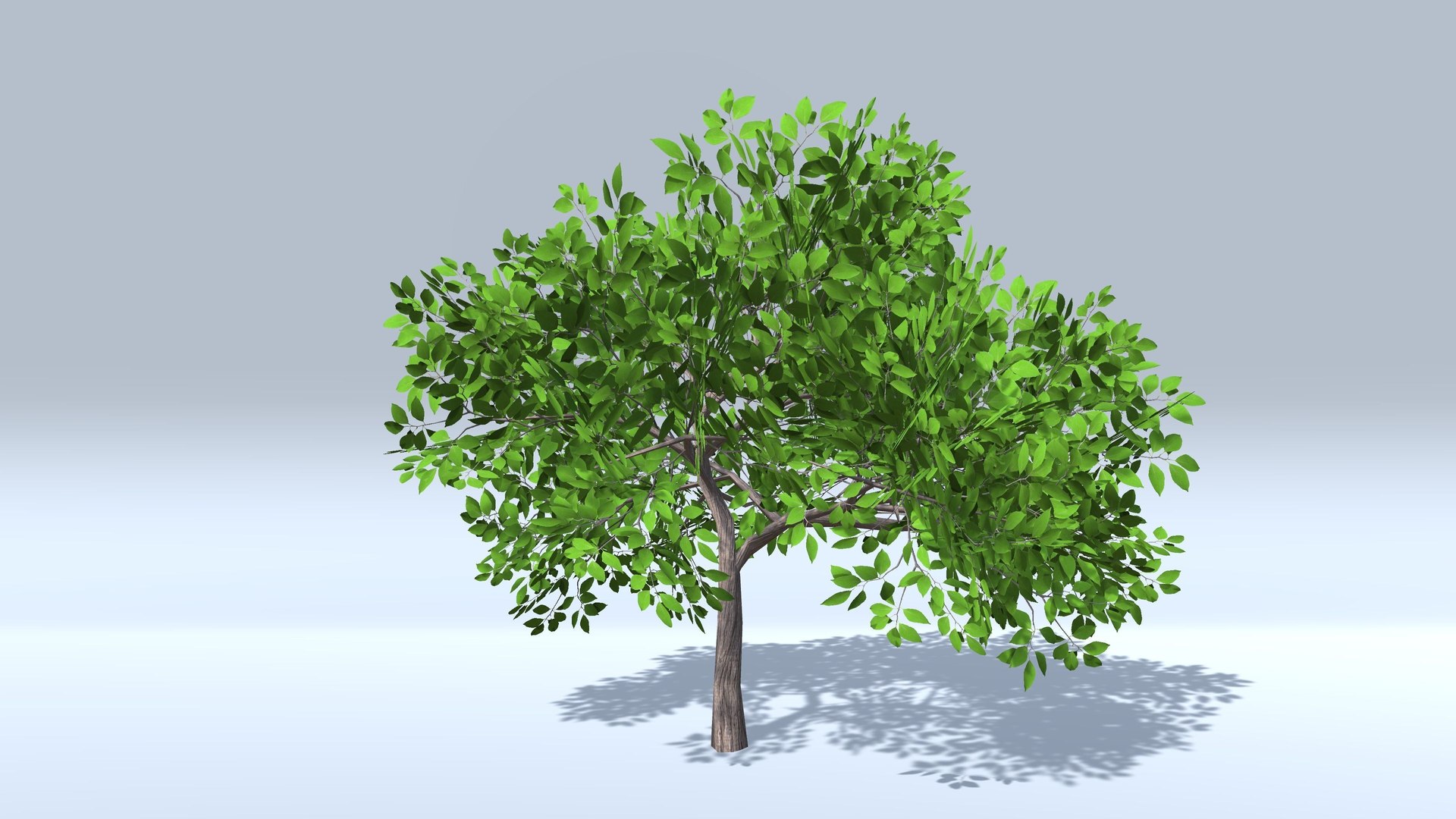 3D Lemon Trees Low-poly 3D Model - TurboSquid 2324750