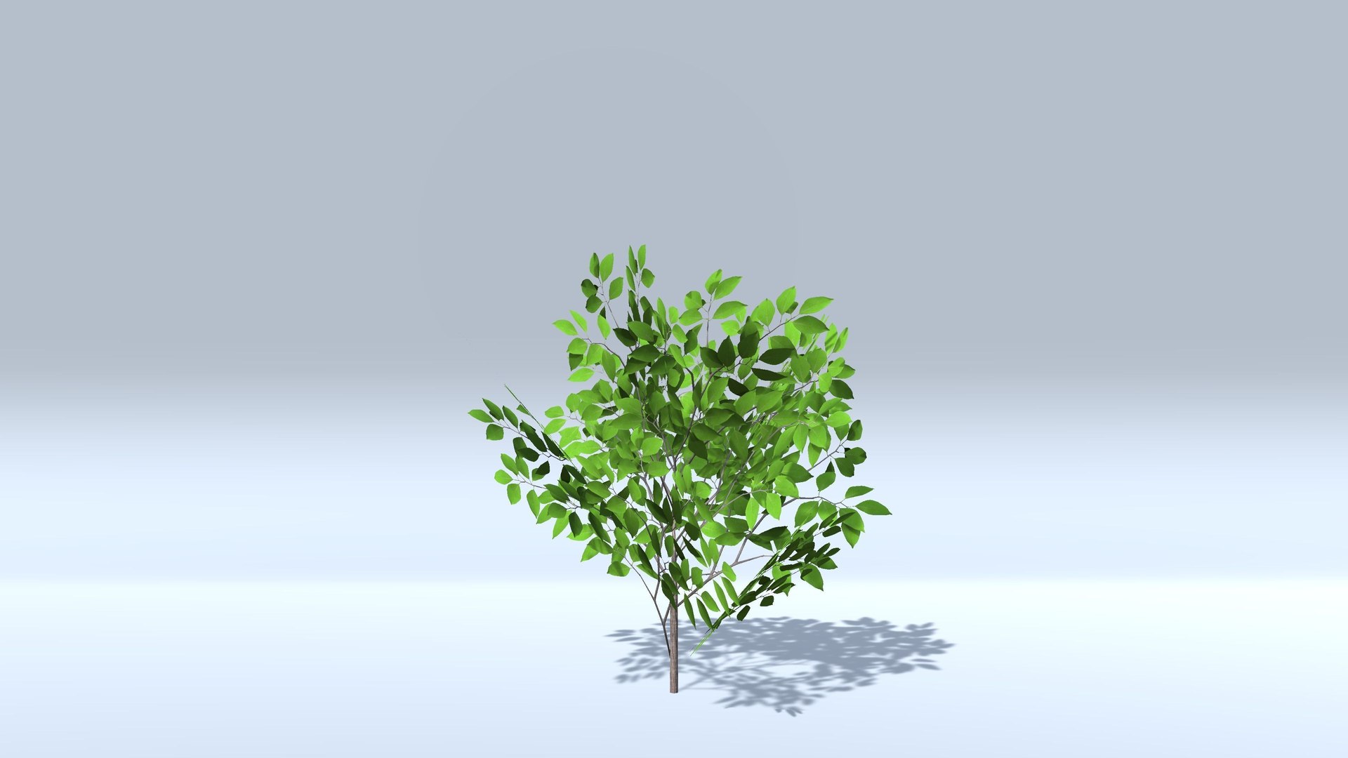 3D Lemon Trees Low-poly 3D Model - TurboSquid 2324750