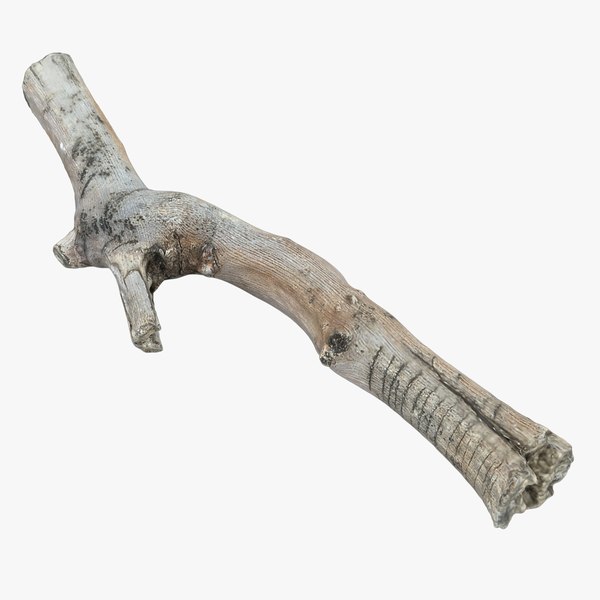 3D photorealistic stick model - TurboSquid 1210794