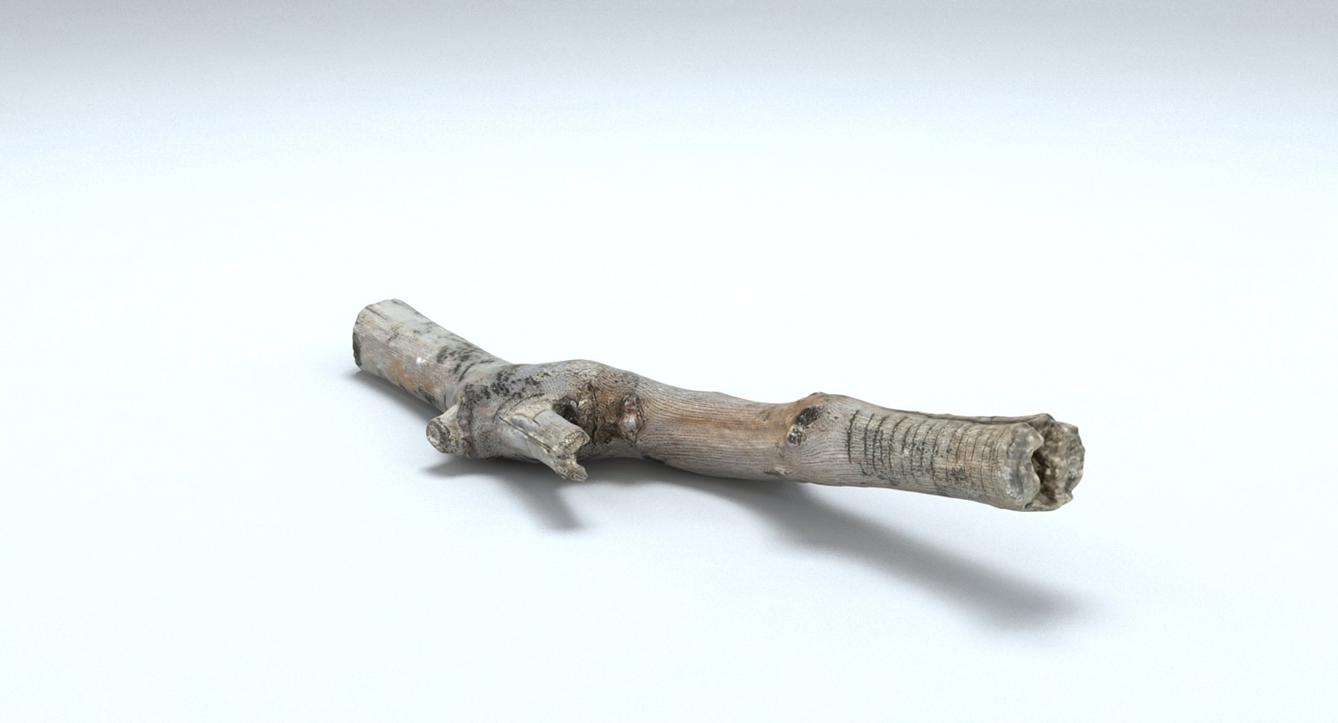 photorealistic stick 3d max