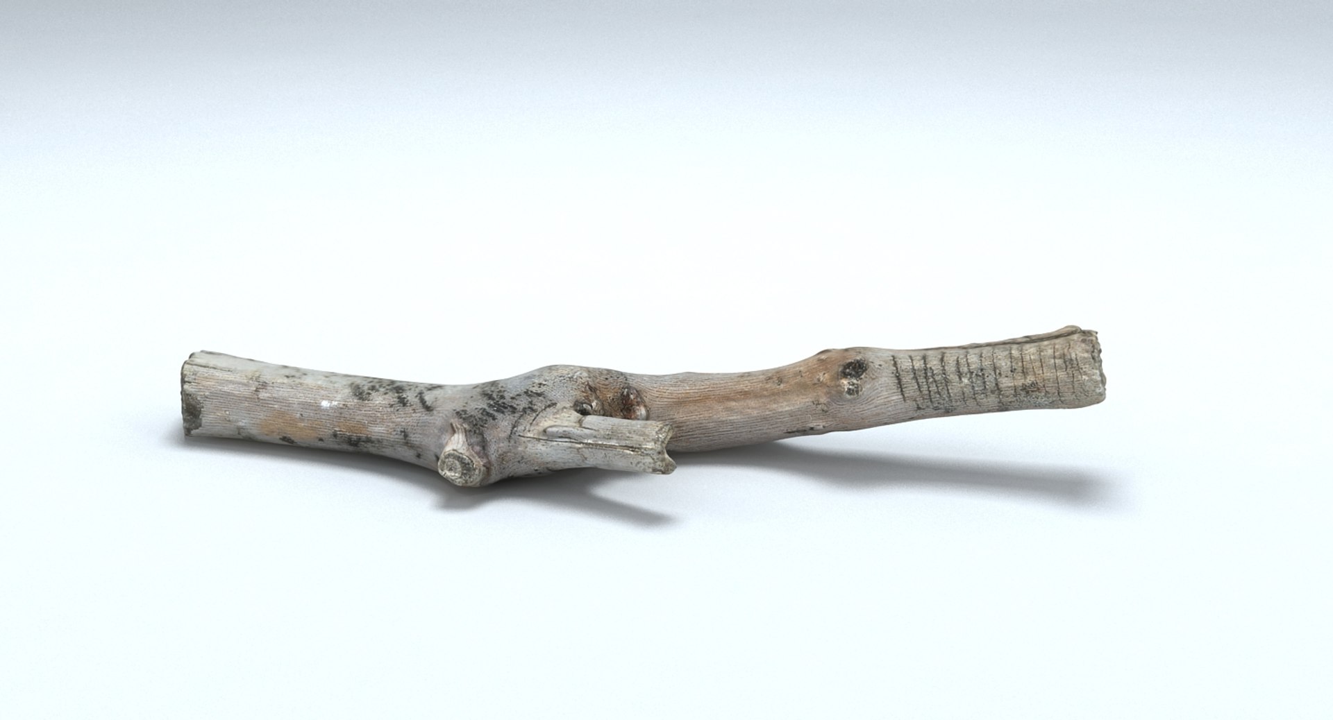 photorealistic stick 3d max