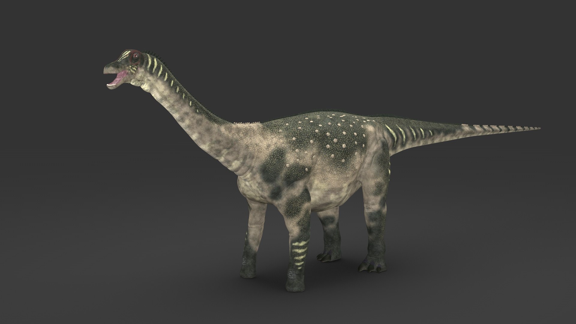 Antarctosaurus Dinosaur 3D Model - TurboSquid 2365802