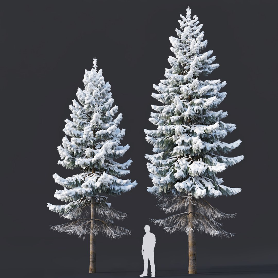 3D Fir Trees - TurboSquid 1402580