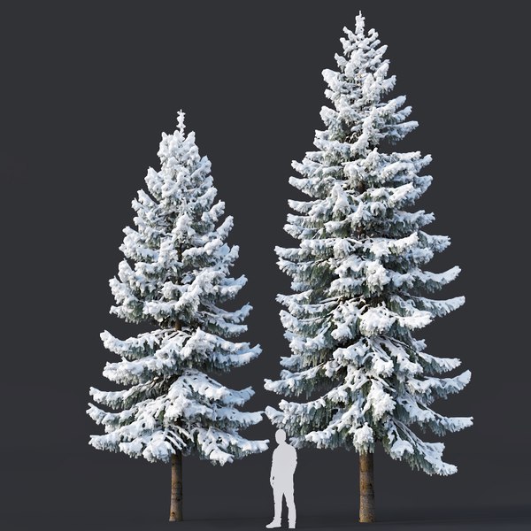 Evergreen Tree 3D Models for Download | TurboSquid
