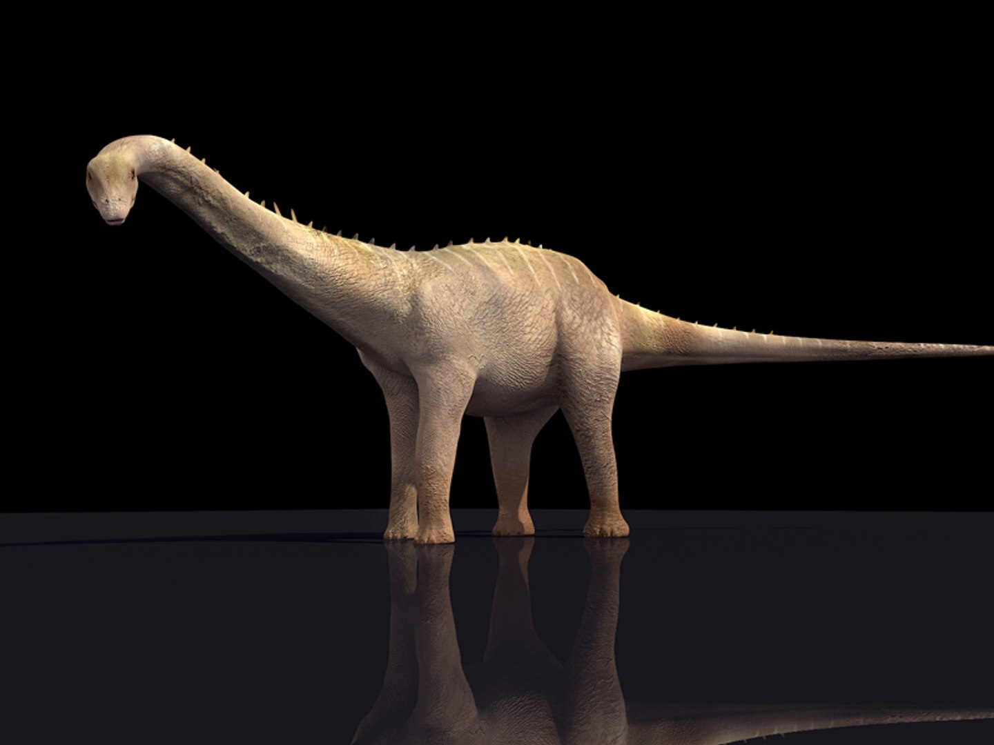 Lodocus Animation Max