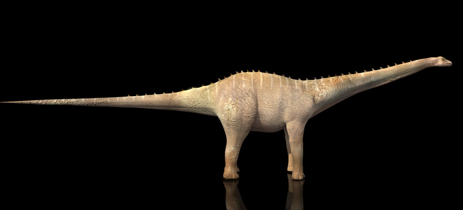 Lodocus Animation Max