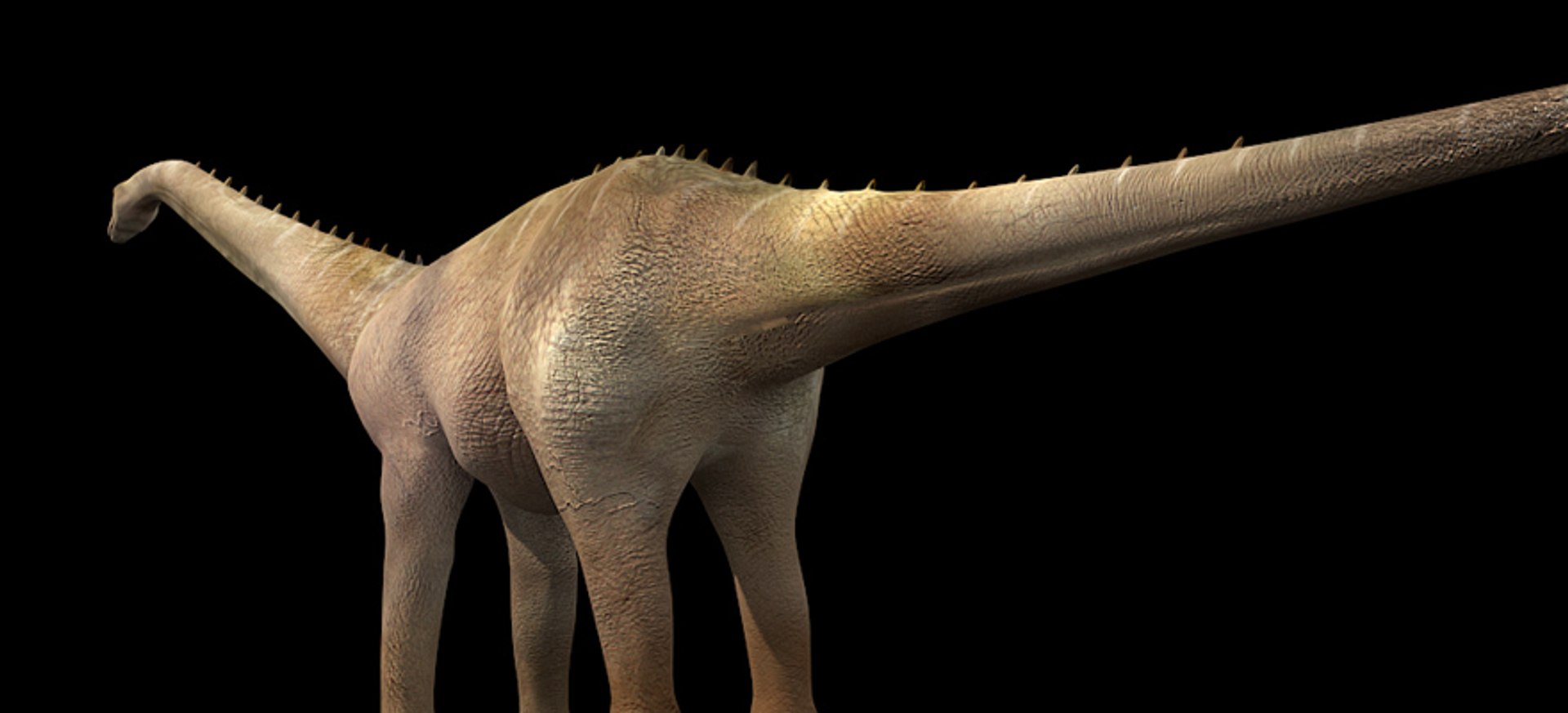 Lodocus Animation Max