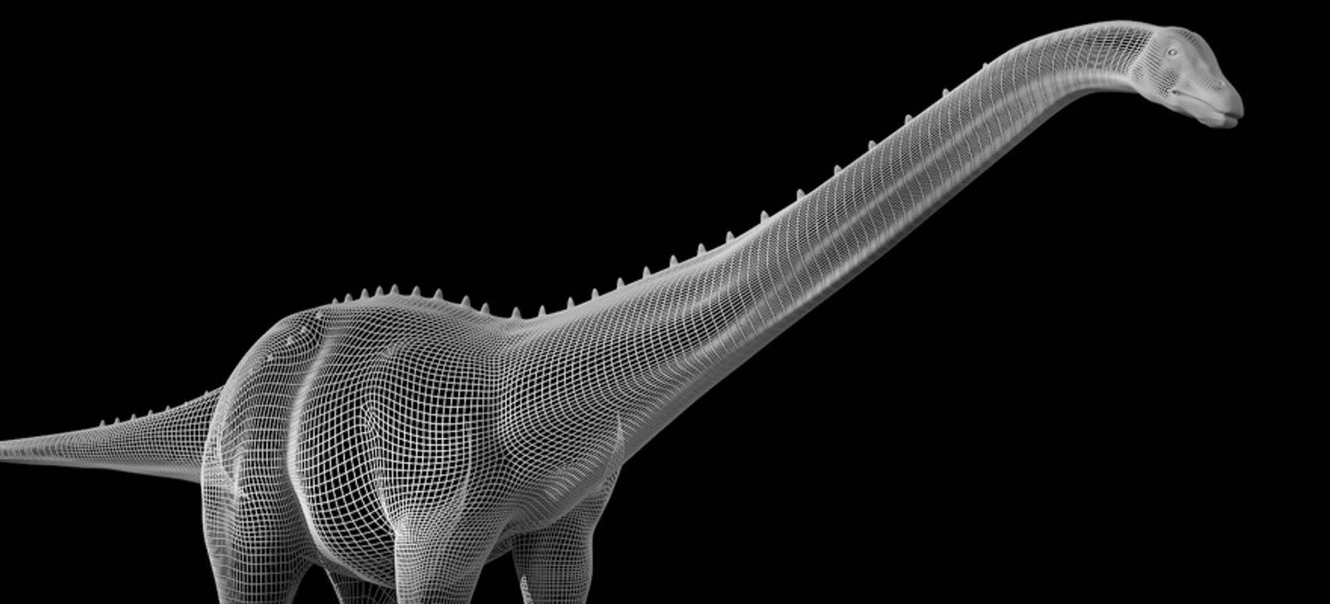 Lodocus Animation Max