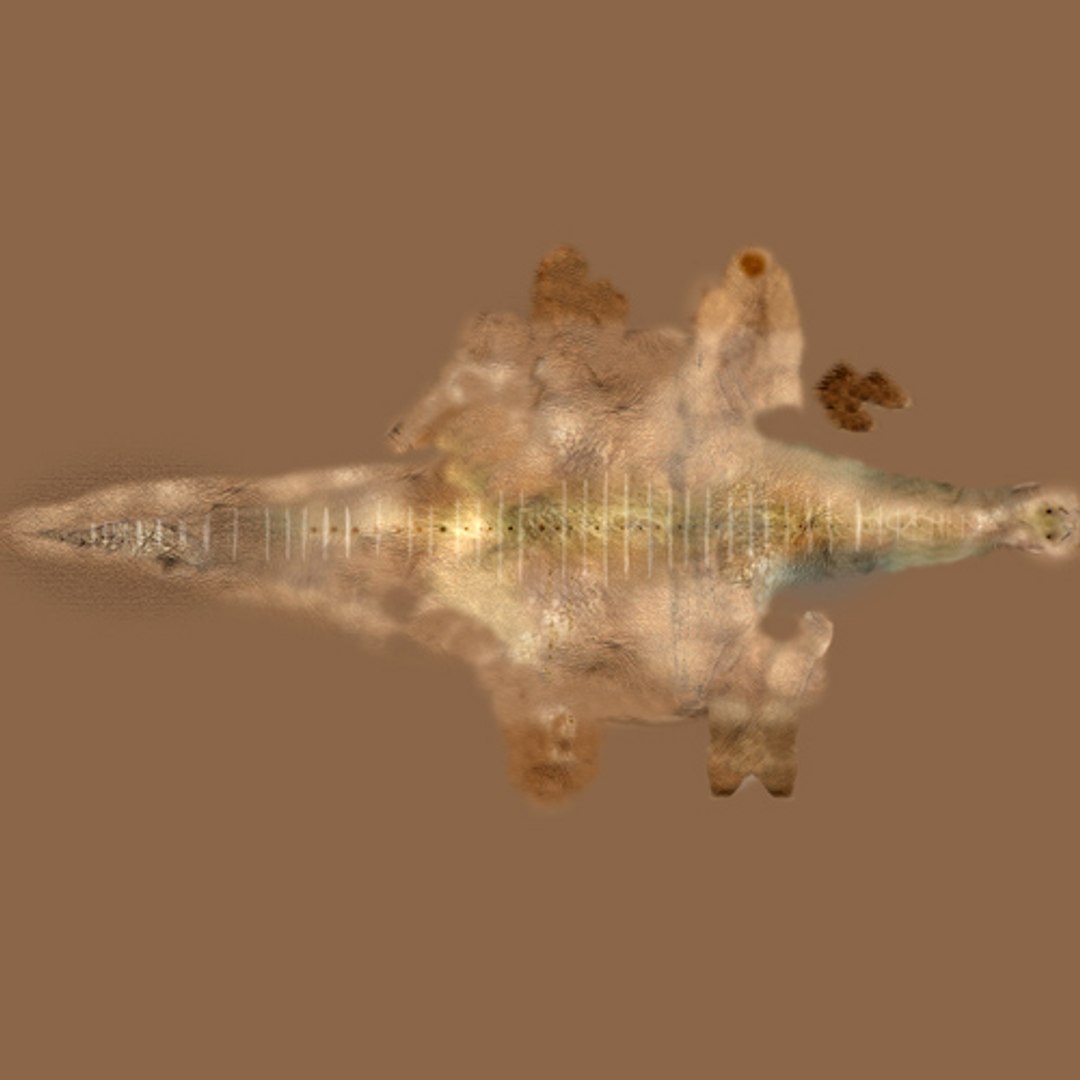 Lodocus Animation Max