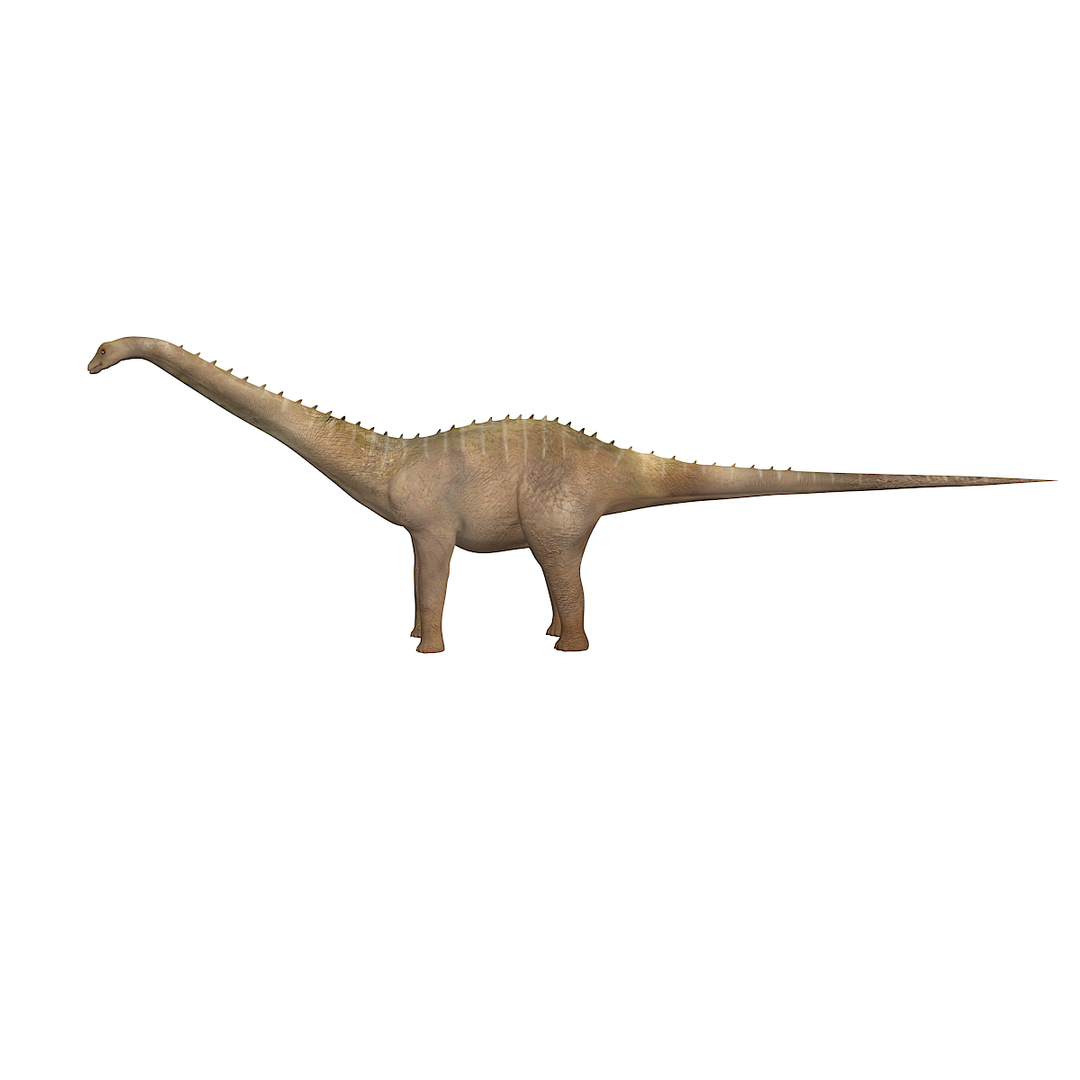 Lodocus Animation Max