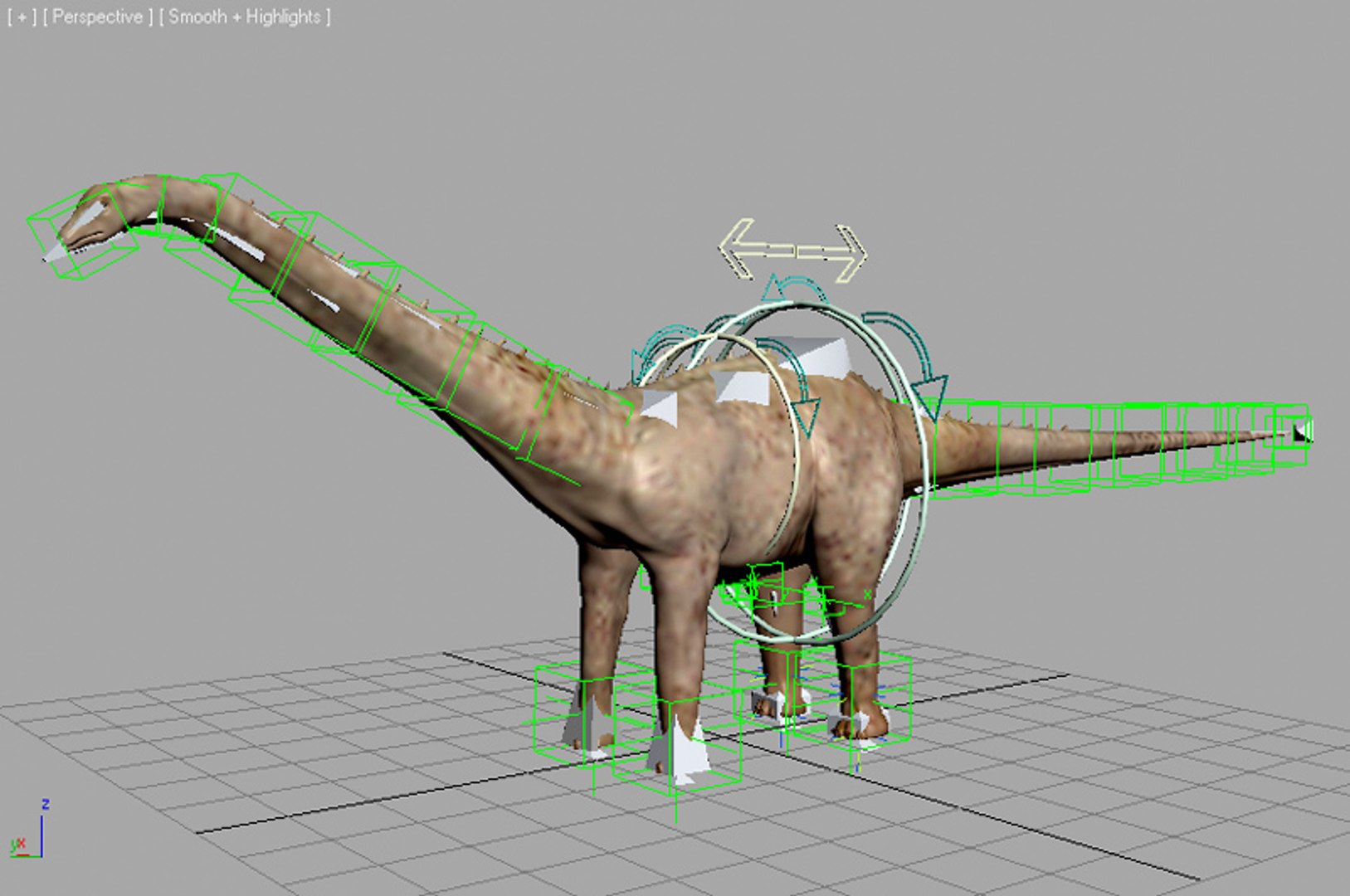 Lodocus Animation Max