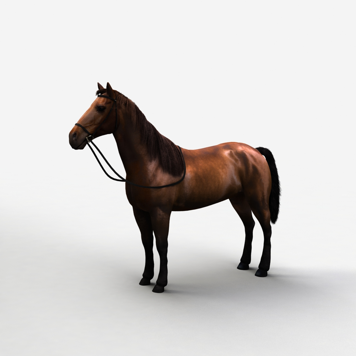 18 animals pack rigging 3D model - TurboSquid 1203808