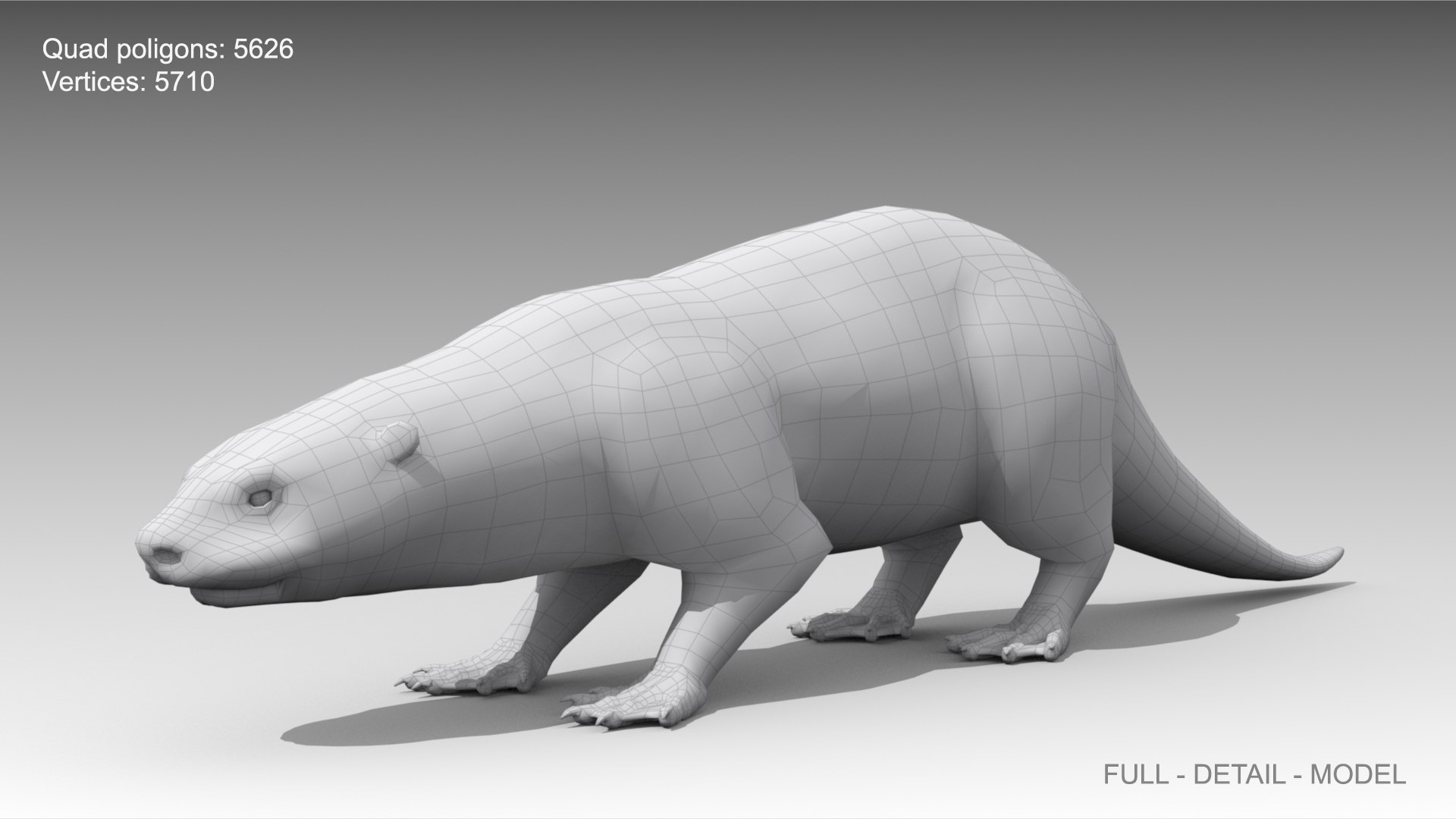 3D Otter Model - TurboSquid 1278030