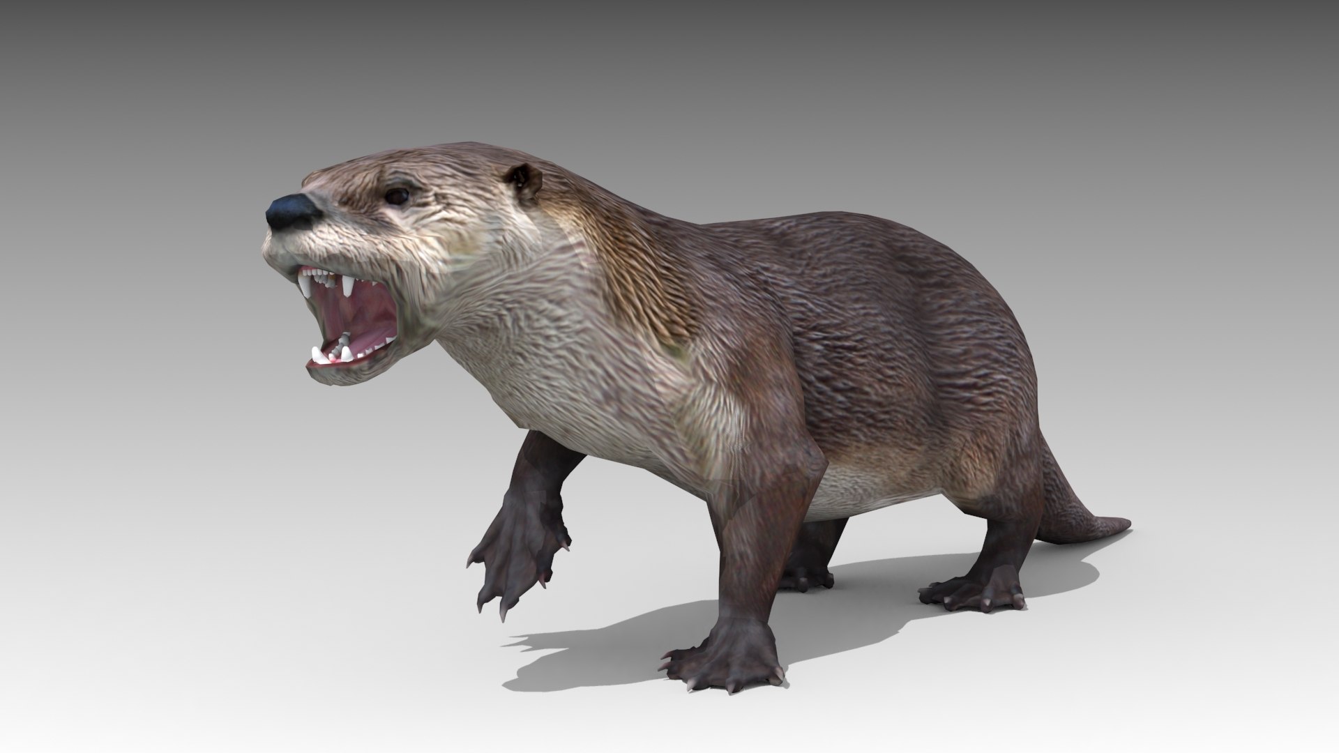 3D Otter Model - TurboSquid 1278030
