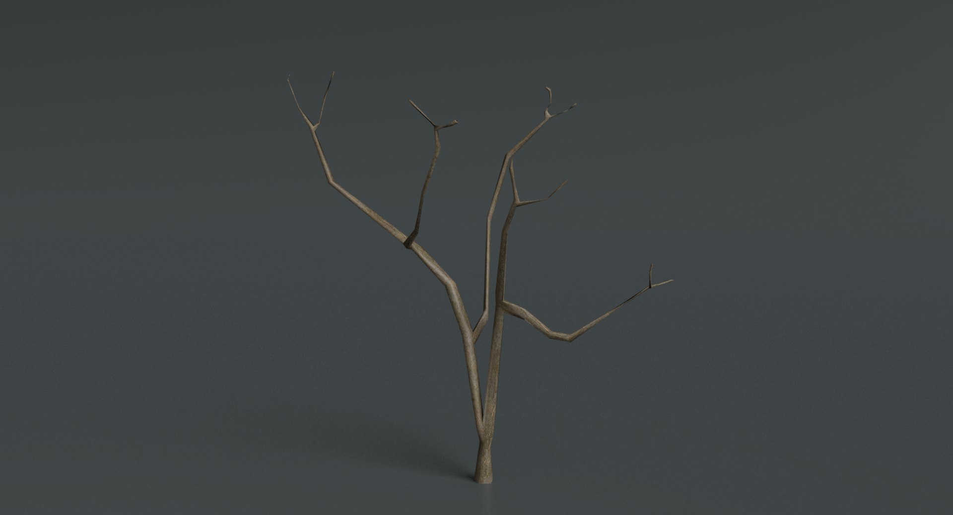 3d dead plant tree model