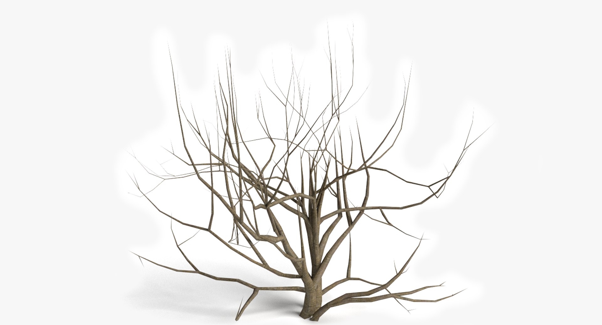 3d dead plant tree model