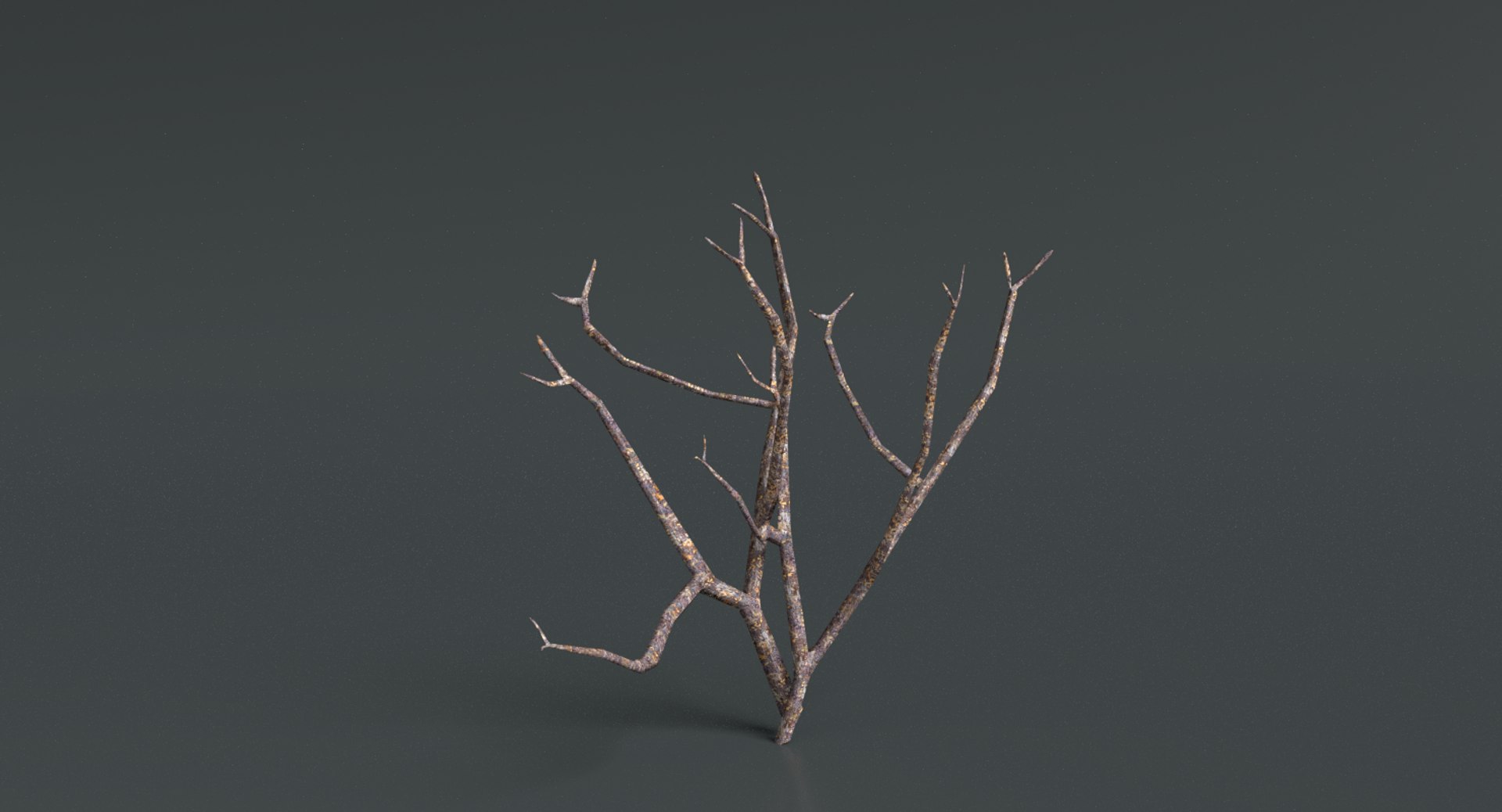 3d dead plant tree model