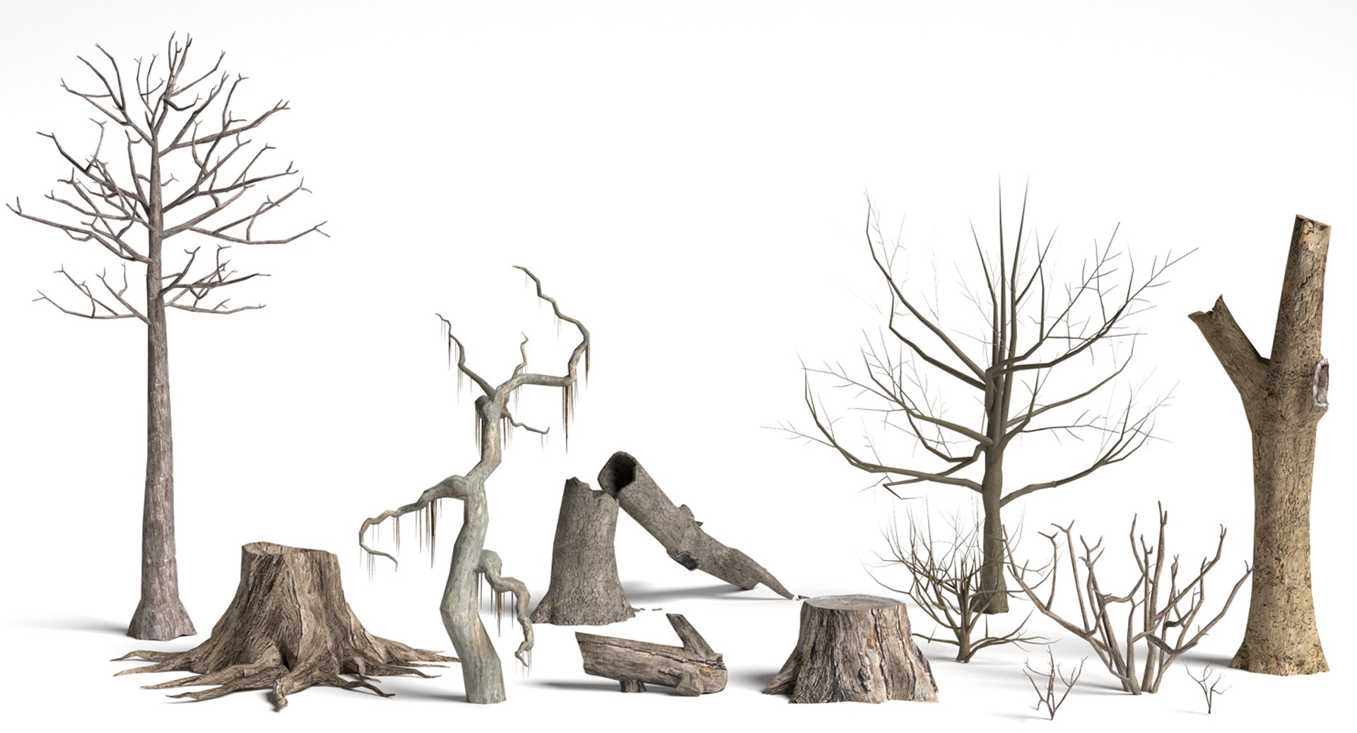 3d dead plant tree model