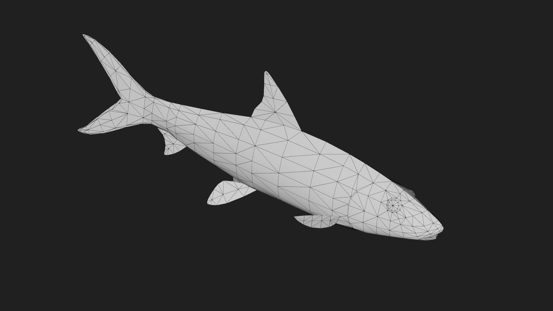 Bonefish Model - TurboSquid 2125431