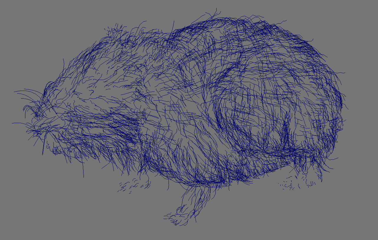 hamster fur 3d model