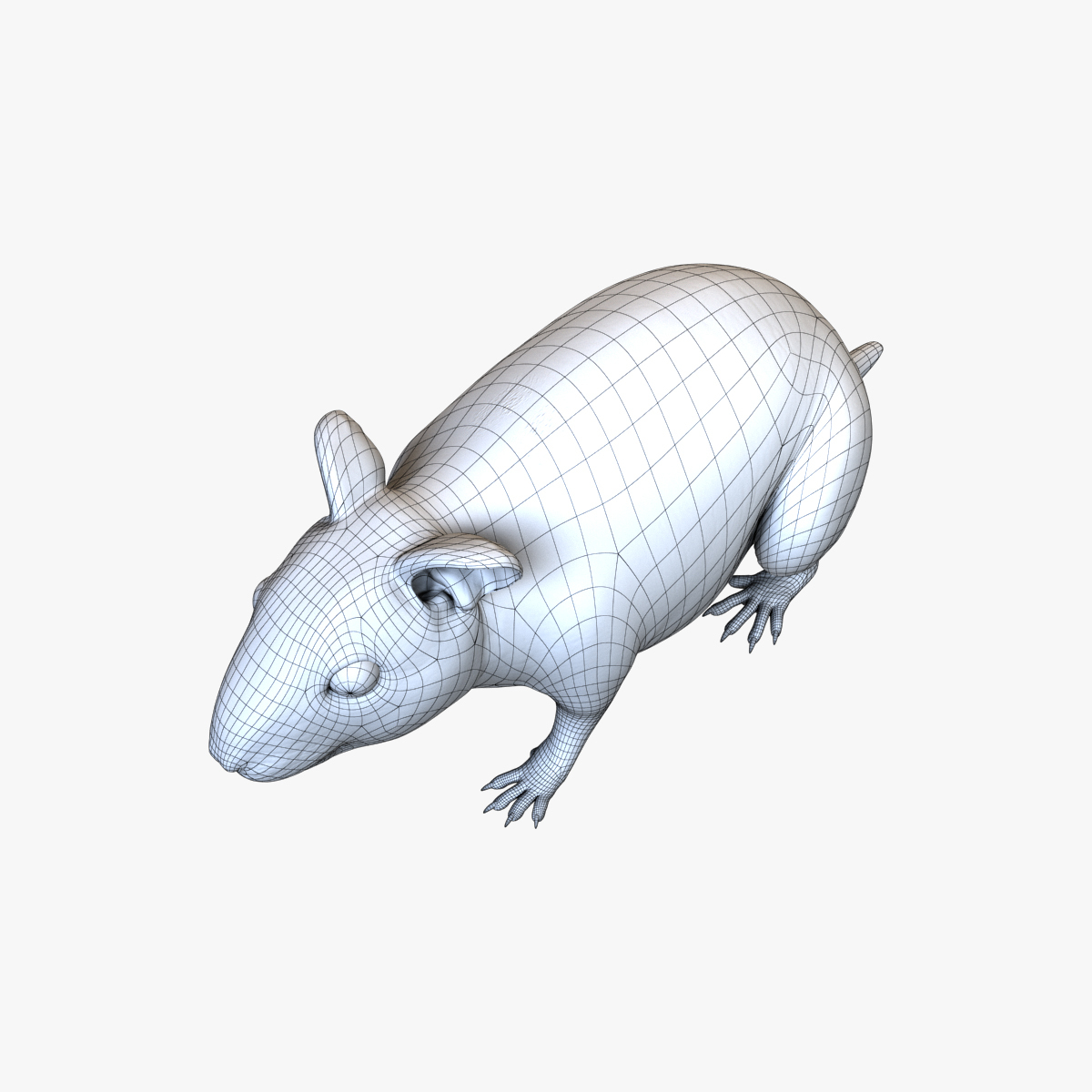 hamster fur 3d model