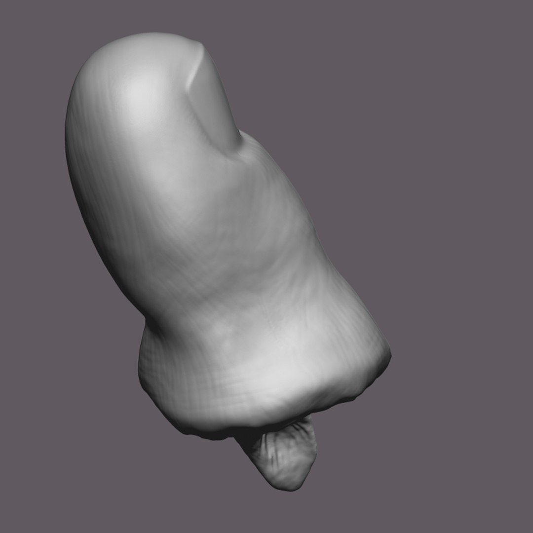 Severed Big Toe 3D Print Model Model - TurboSquid 1831439
