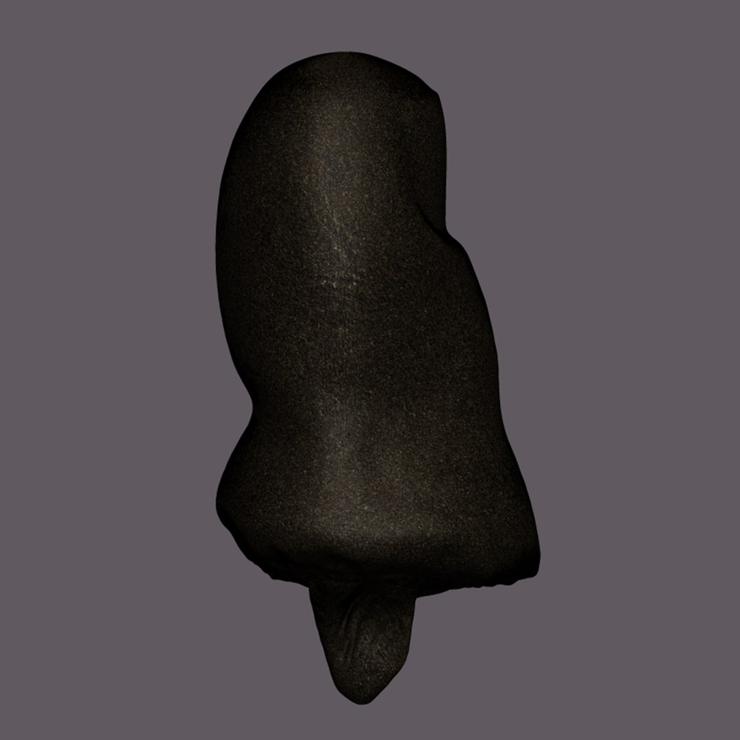 Severed Big Toe 3D Print Model Model - TurboSquid 1831439