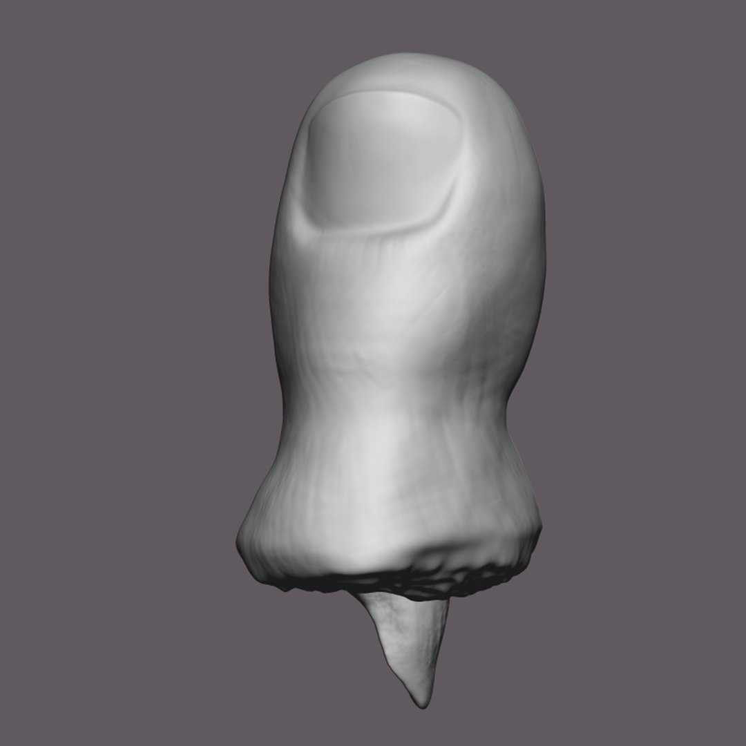 Severed Big Toe 3D Print Model Model - TurboSquid 1831439