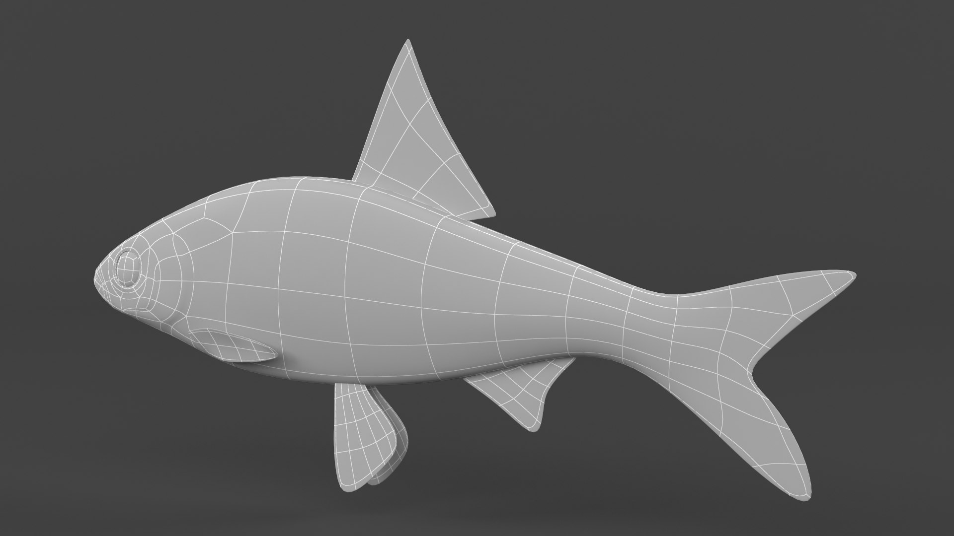 Freshwater Fish 3D - TurboSquid 2007446