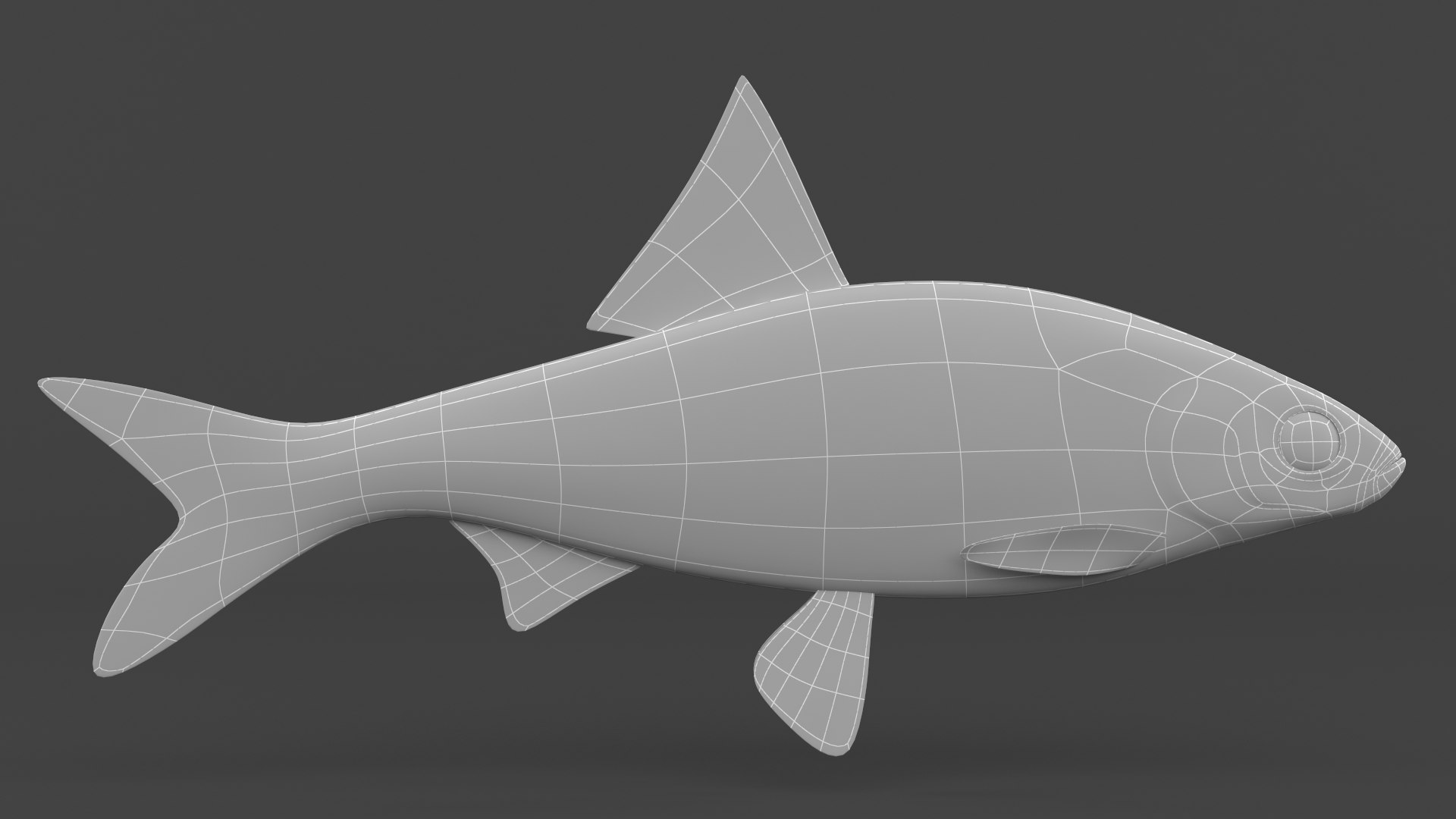 Freshwater Fish 3D - TurboSquid 2007446